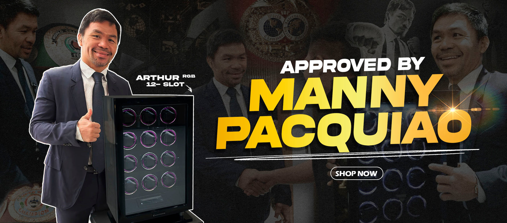 Vault Master – Premium Watch Winders & Luxury Vaults in Philippines ...