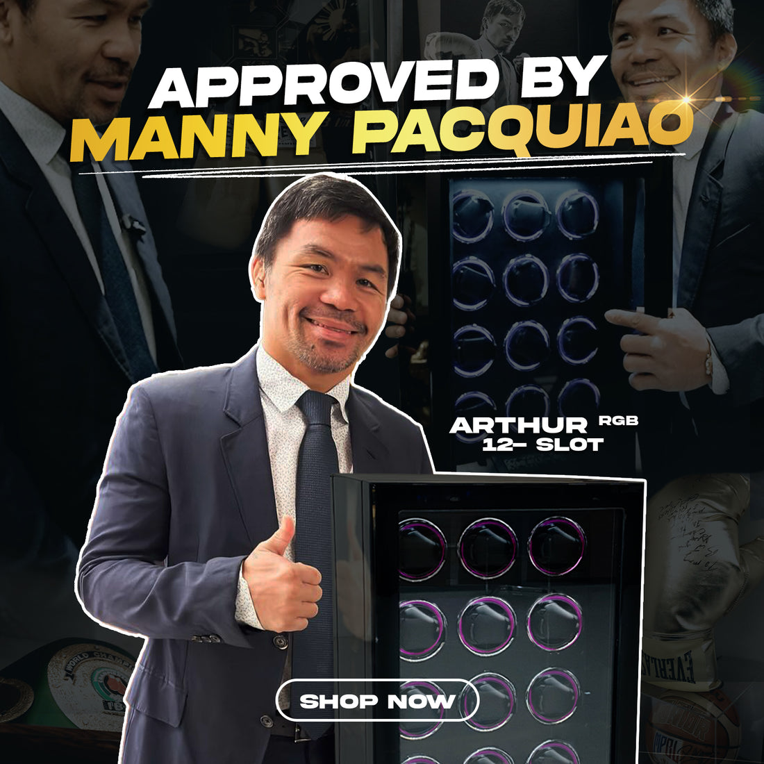 Vault Master – Premium Watch Winders & Luxury Vaults in Philippines ...